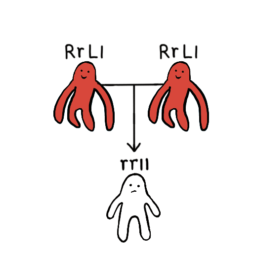 Genetic Shuffling (Meiosis) — Definition & Overview - Expii