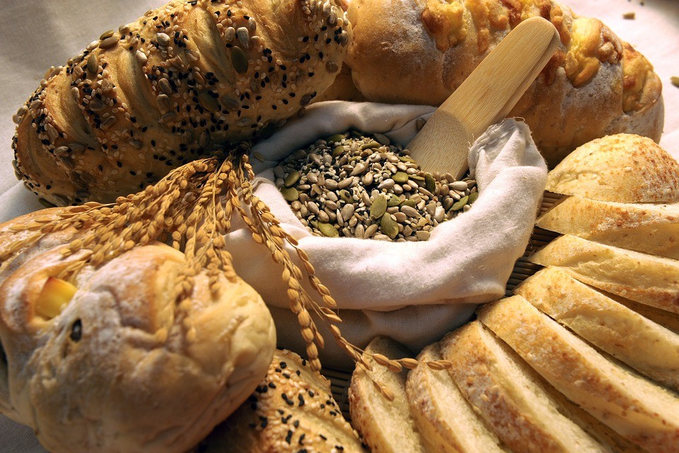 Carbohydrates — Overview & Importance in Biology - Expii