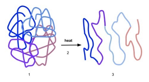 Deactivation of Enzymes — Overview & Examples - Expii