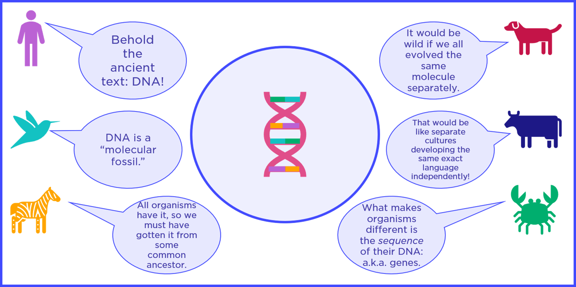 Evidence For Evolution STUDENT GENERATED Mind Map