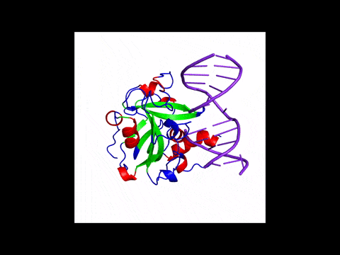 Enzymes In Biochemical Reactions — Role & Importance - Expii
