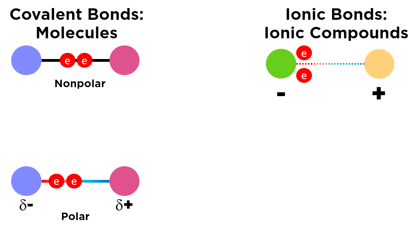 Ionic Bonding Biology Definition Role Expii
