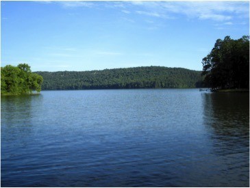 High Specific Heat (Water) — Properties & Examples - Expii