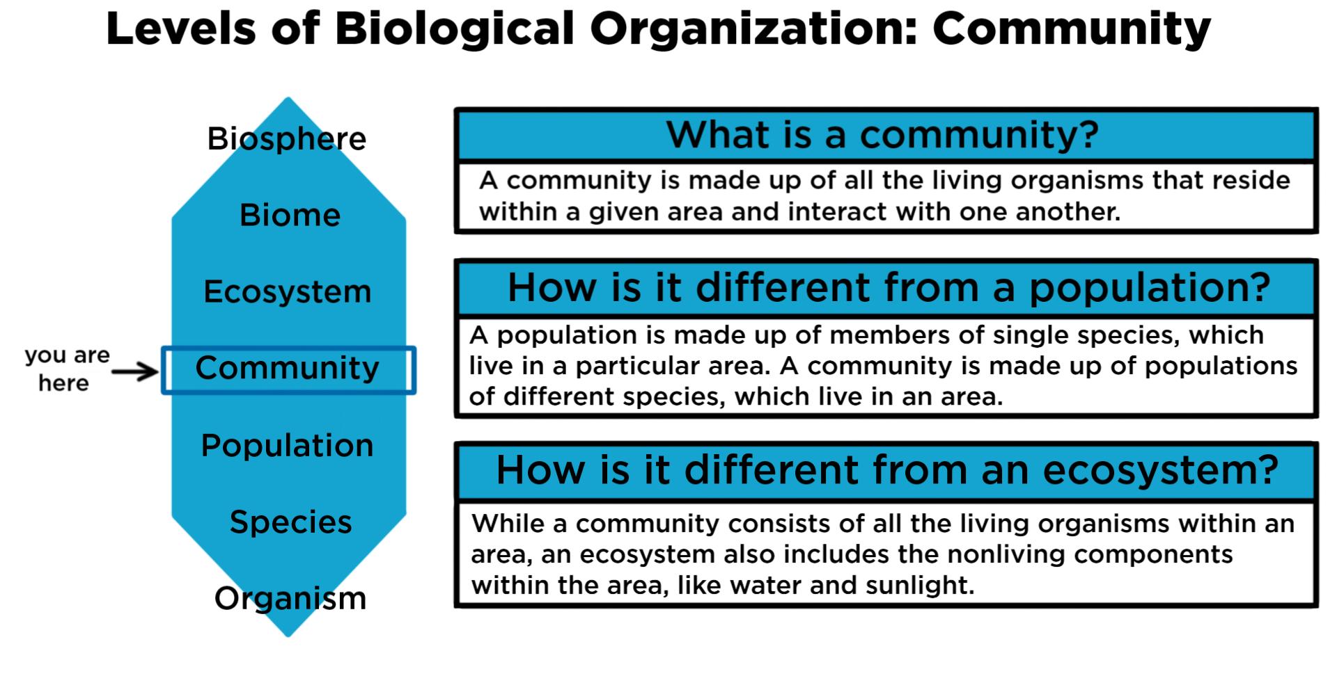 Community Ecology Definition Examples Expii Images Community Ecology Definition Examples Expii Images