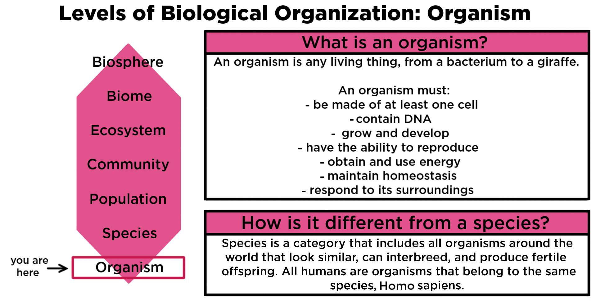 Organisms Ecology Definition Examples Expii
