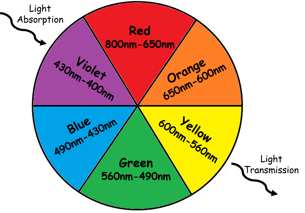 Complex Color Wheel Complex Color Wheel