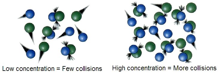 Rate of Reaction (Enzymes) — Role & Importance - Expii