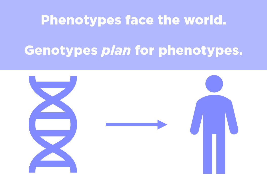 Phenotype Definition Overview Expii